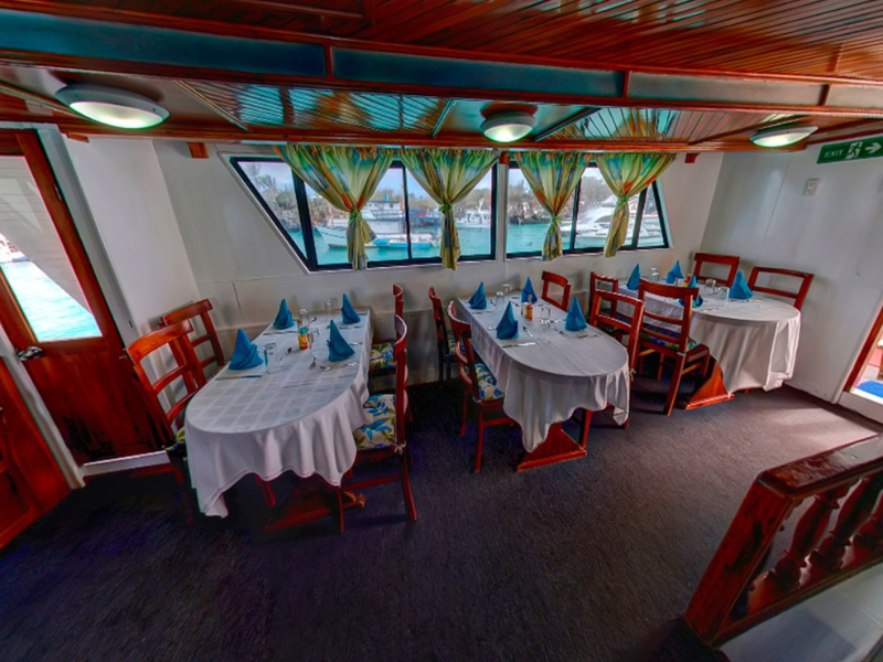 Delfin III - Photos, Cabins & Deck Plans - Luxury Vessels by Latin ...